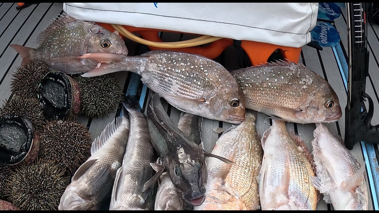 Snapper and Blue cod fishing mid winter - YouTube