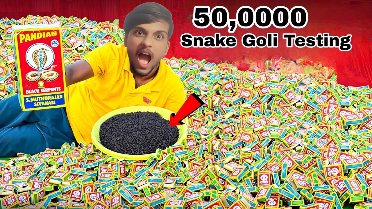 97000 Firecrackers Were Put Into The Snake 🐍 at One Time || Diwali ...