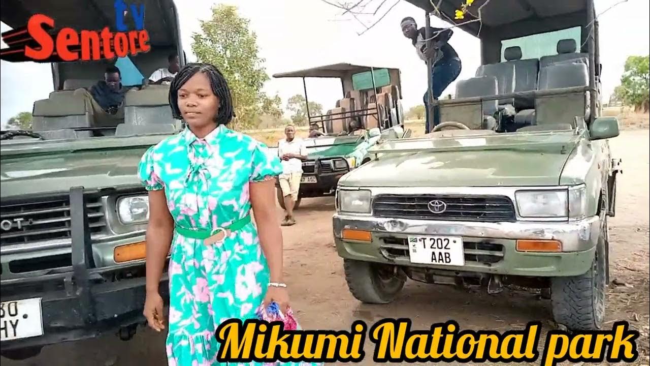 MBUGA ZA WANYAMA MIKUMI - YouTube