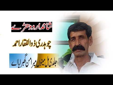 Punjabi tappy |Ch Zulfiqar Ahmed | jaldi mill meno | latest punjabi tappy| punjabi geet