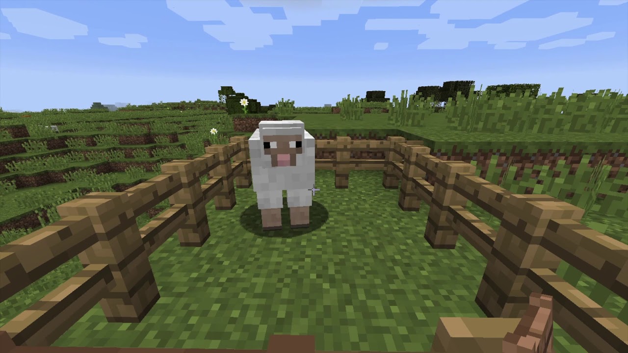 15 minutes of Minecraft Sounds | Sheep - YouTube