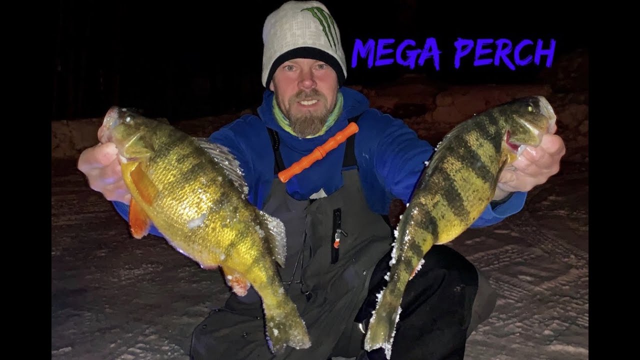 Mega Perch Knock Out - YouTube