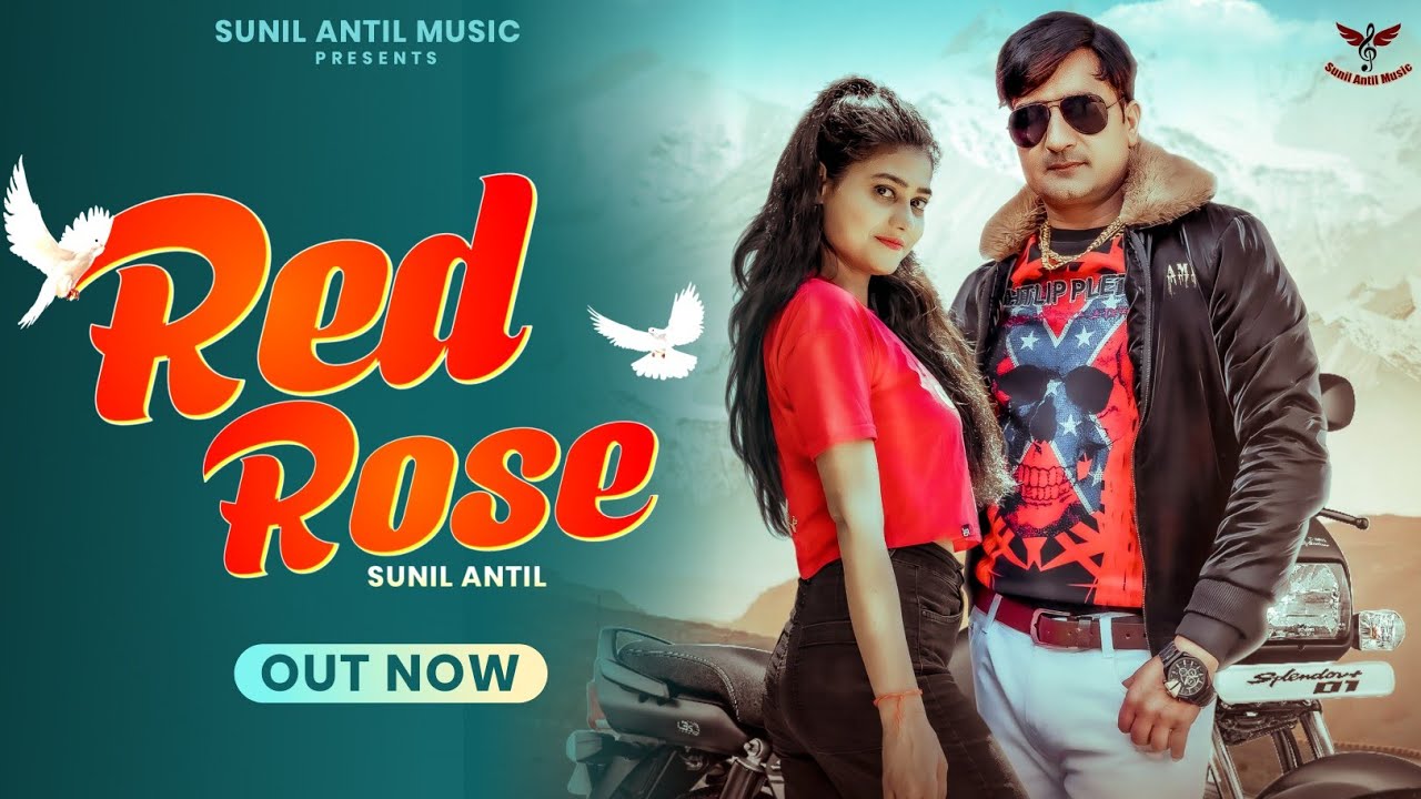 Red Rose (4k Video) New Latest Haryanvi Love Song 2024 | Sunil Antil ...