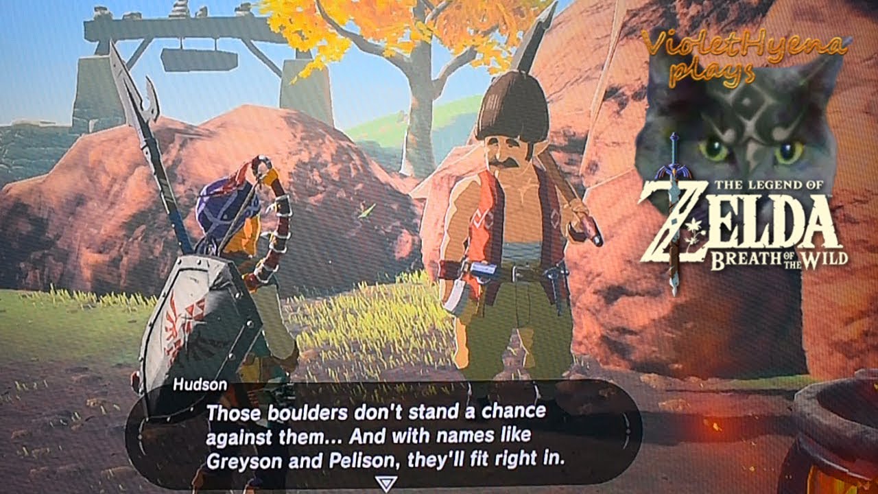 🔨⛏ Terry Town Visit | Legend of Zelda Breath of the Wild part 229 - YouTube