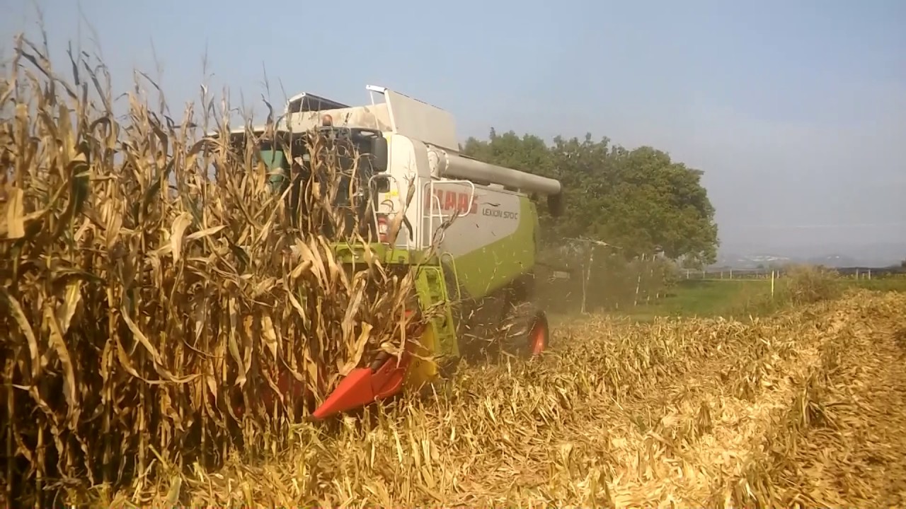 Trebbiatura 2016 - RSTeam - Claas Lexion 570C + Capello Quasar - YouTube