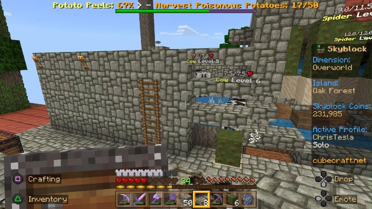 Minecraft CubeCraft Skyblock Simple Cow and Spider Farms - YouTube