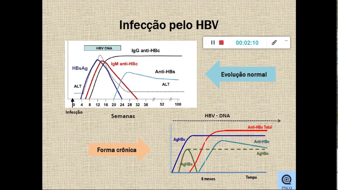 Diagnóstico Sorológico da Hepatite B - YouTube