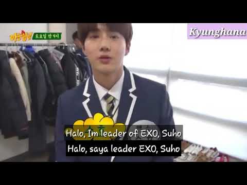 EXO at Knowing Brother (Behind The Scene)  Edited [INDO SUB] + ENG SUB