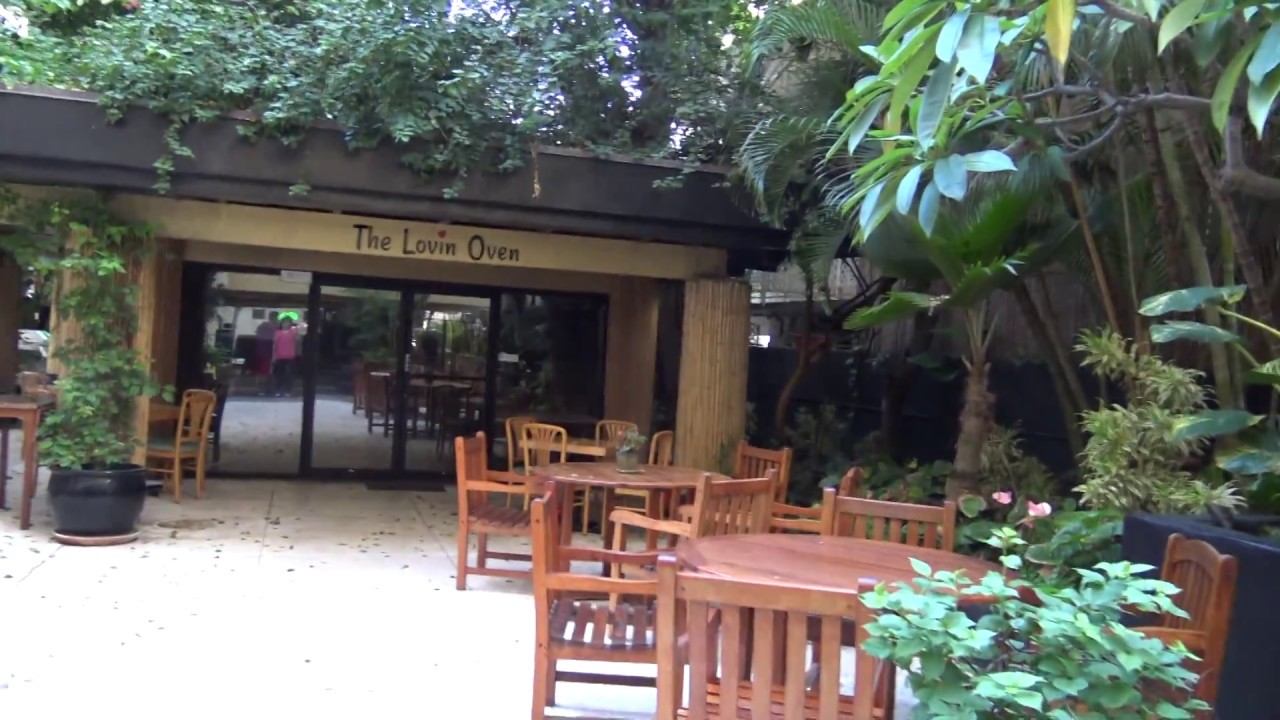 Aqua Bamboo Waikiki Hotel Outdoor pool - YouTube