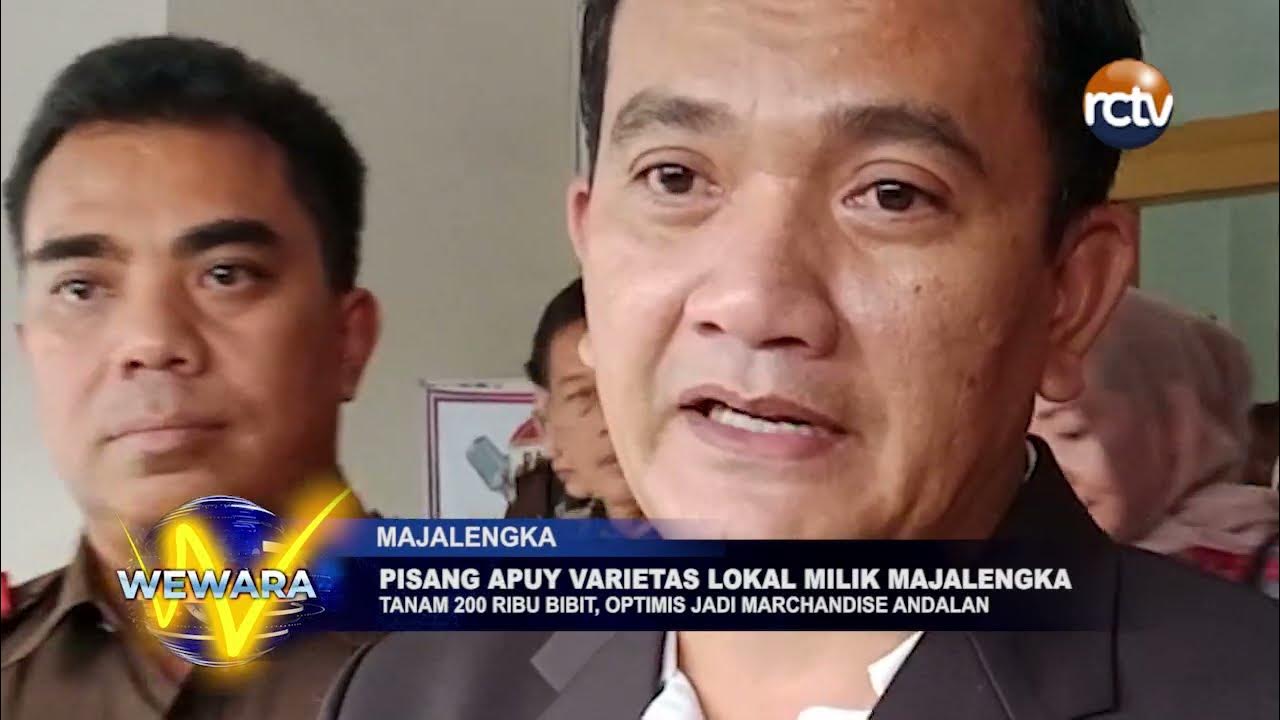Pisang Apuy Varietas Lokal Milik Majalengka - YouTube