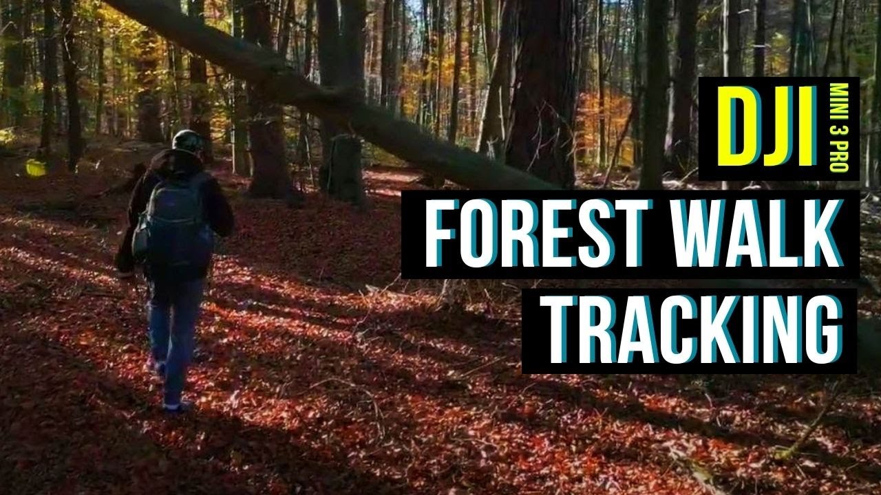 DJI Mini 3 Pro - Drone tracking while walking in the autumn forest ...