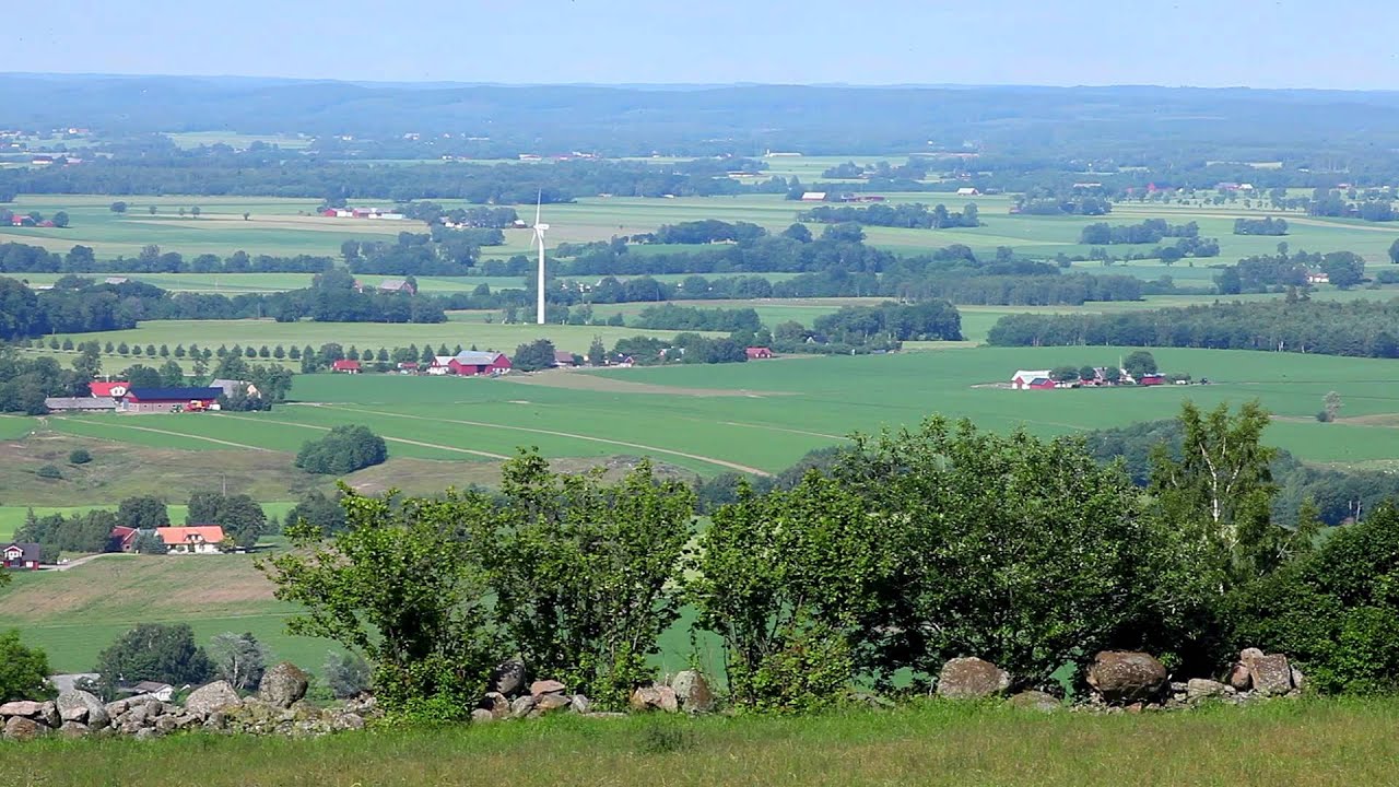 Hallandsåsen, djur och natur - YouTube