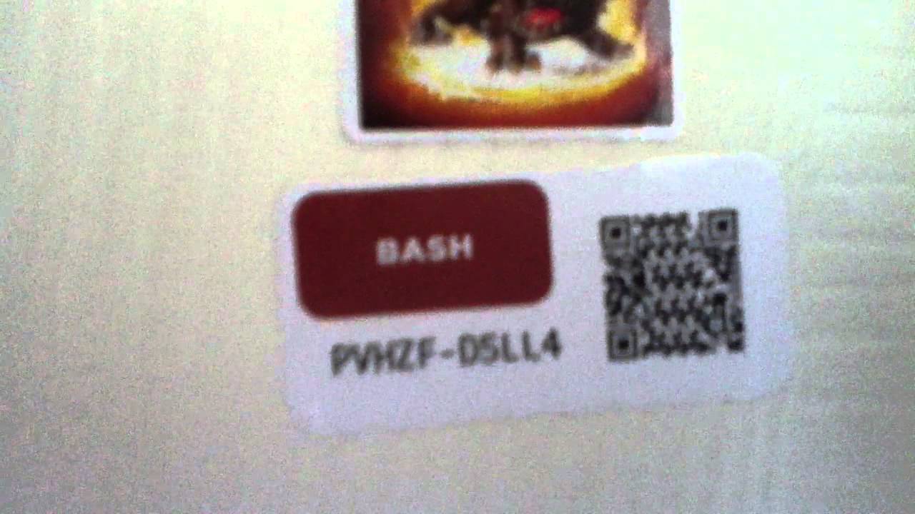 Skylander Code Bash - YouTube