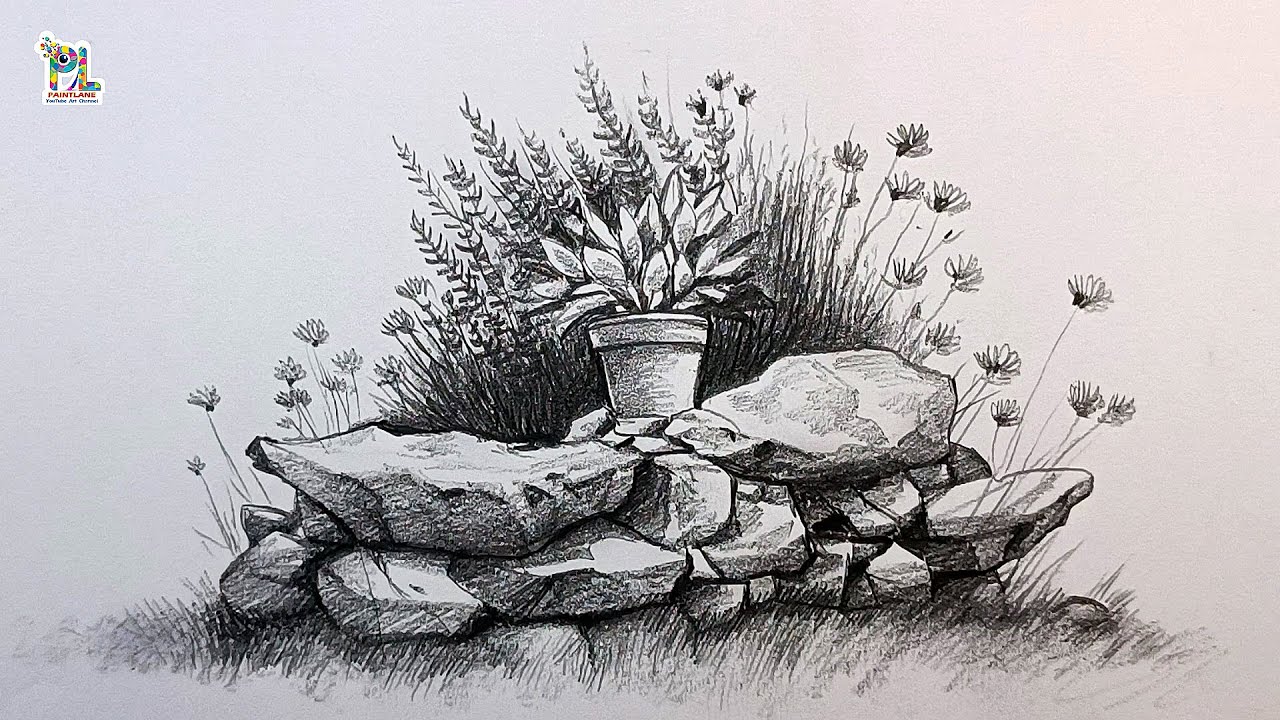 How to draw bushes and Plants and Small Rock stones fence with pencil ...