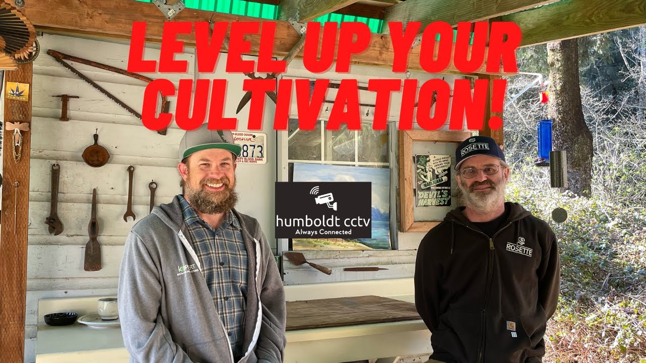 Kangen Waters Impact On Cannabis Cultivation | Level Up with Harry Rose ...