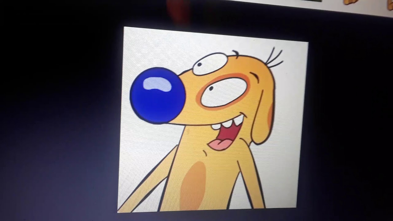 Spongebob theme song (CatDog Version) - YouTube