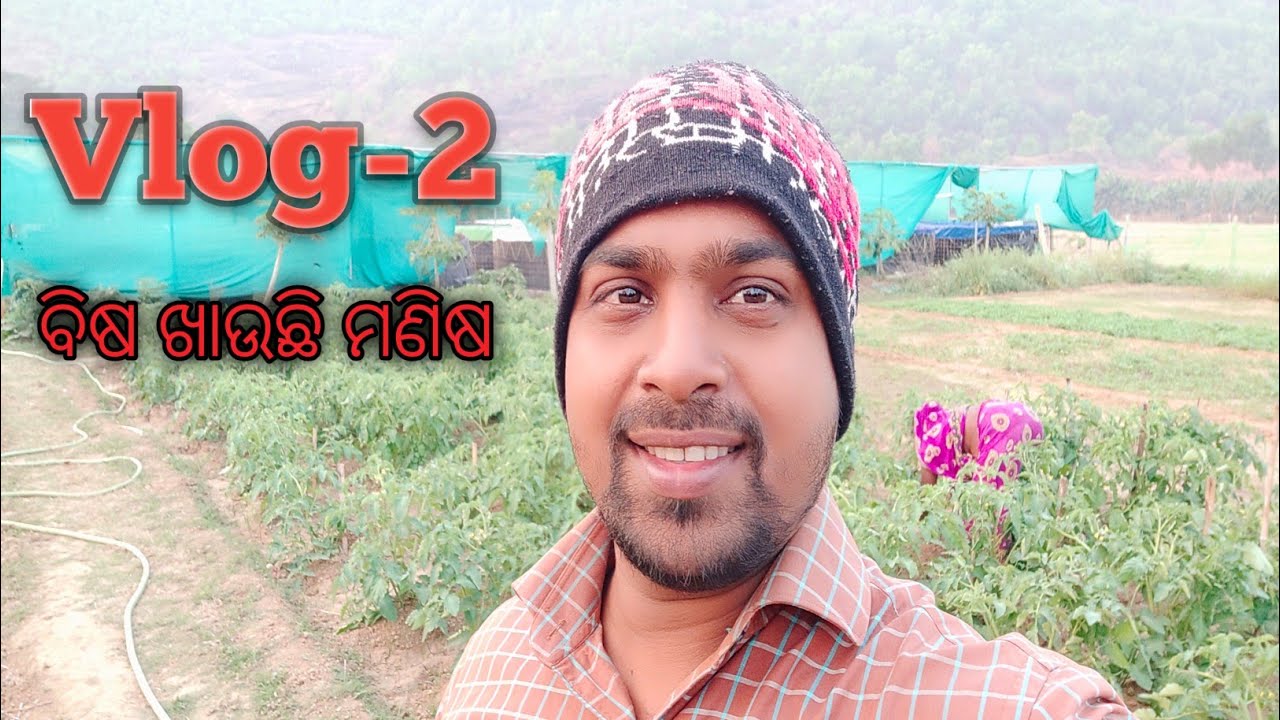 ବିଷ ଖାଉଛି ମଣିଷ ||man are eating poison ||Alekha sahoo farming Blog ...
