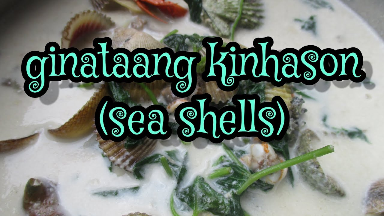 Ginataang kinhason (sea shells) @rhenzsonier6558 - YouTube