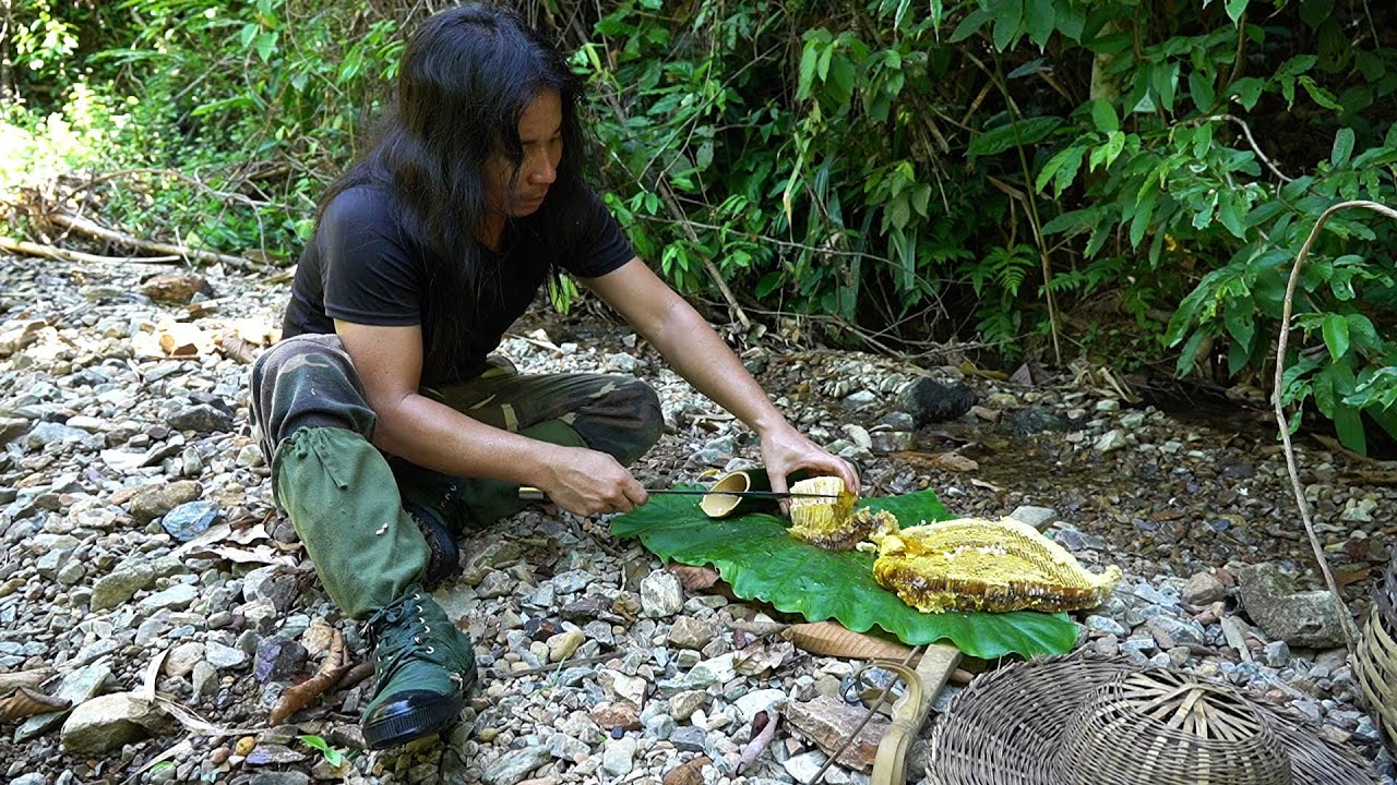 Lots of Wild Food in the Forest, Catch and Cook: Survival Alone | EP ...