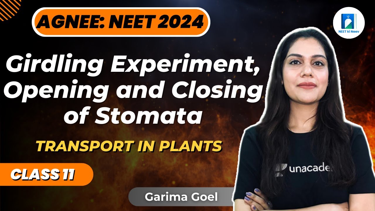 Girdling Experiment, Opening and Closing of Stomata | Class 11 | NEET ...