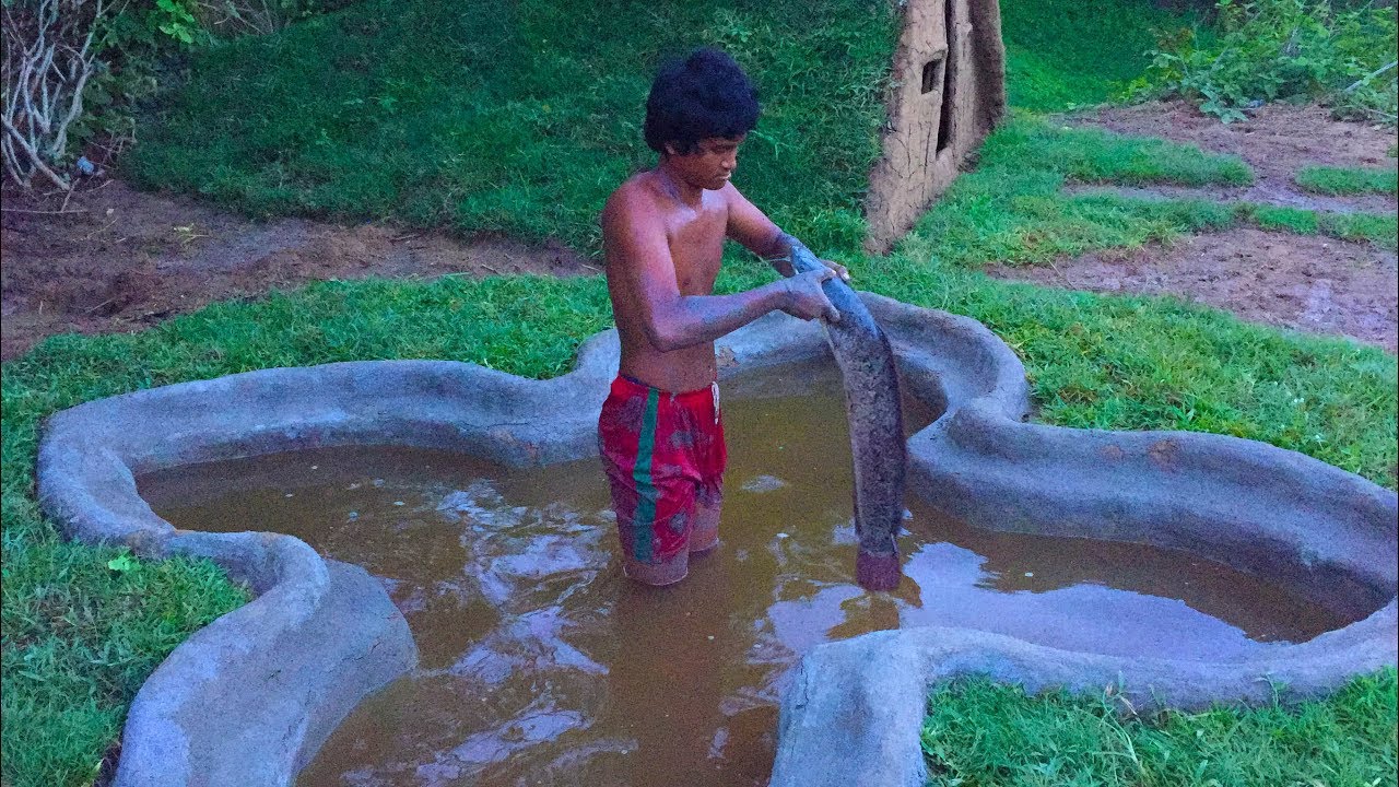 Secret Of Primitive: Looking Fish For Breeding and food storage - YouTube