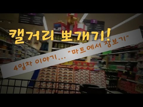 캘거리 뽀개기 4일차 / 마트에서 장보기 (Safeway Beltline점) - YouTube