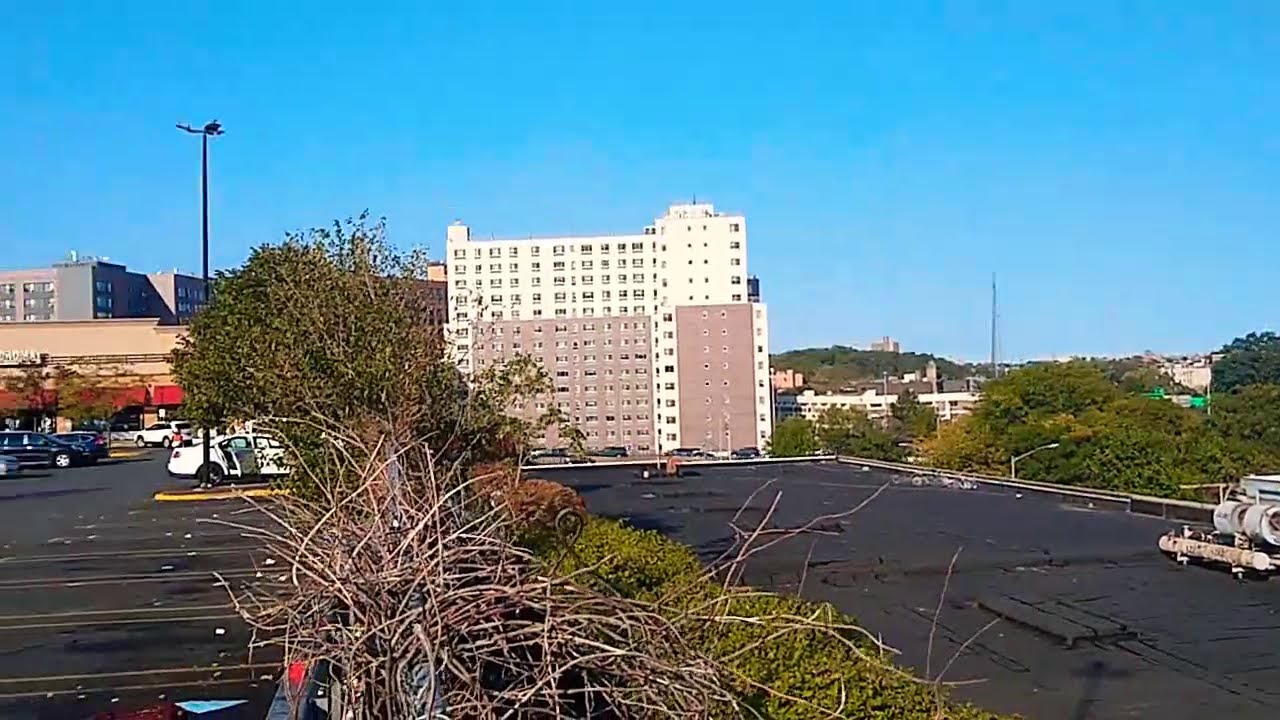 East 174 Street Mall, Bronx NY - YouTube