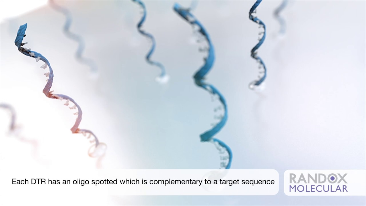 Randox Molecular STI Multiplex Array - YouTube