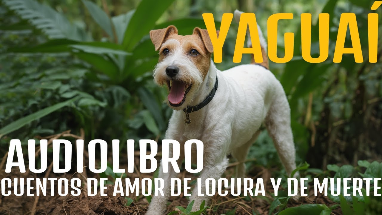 Yaguaí | Cuentos de Amor de Locura y de Muerte | Audiolibro - YouTube