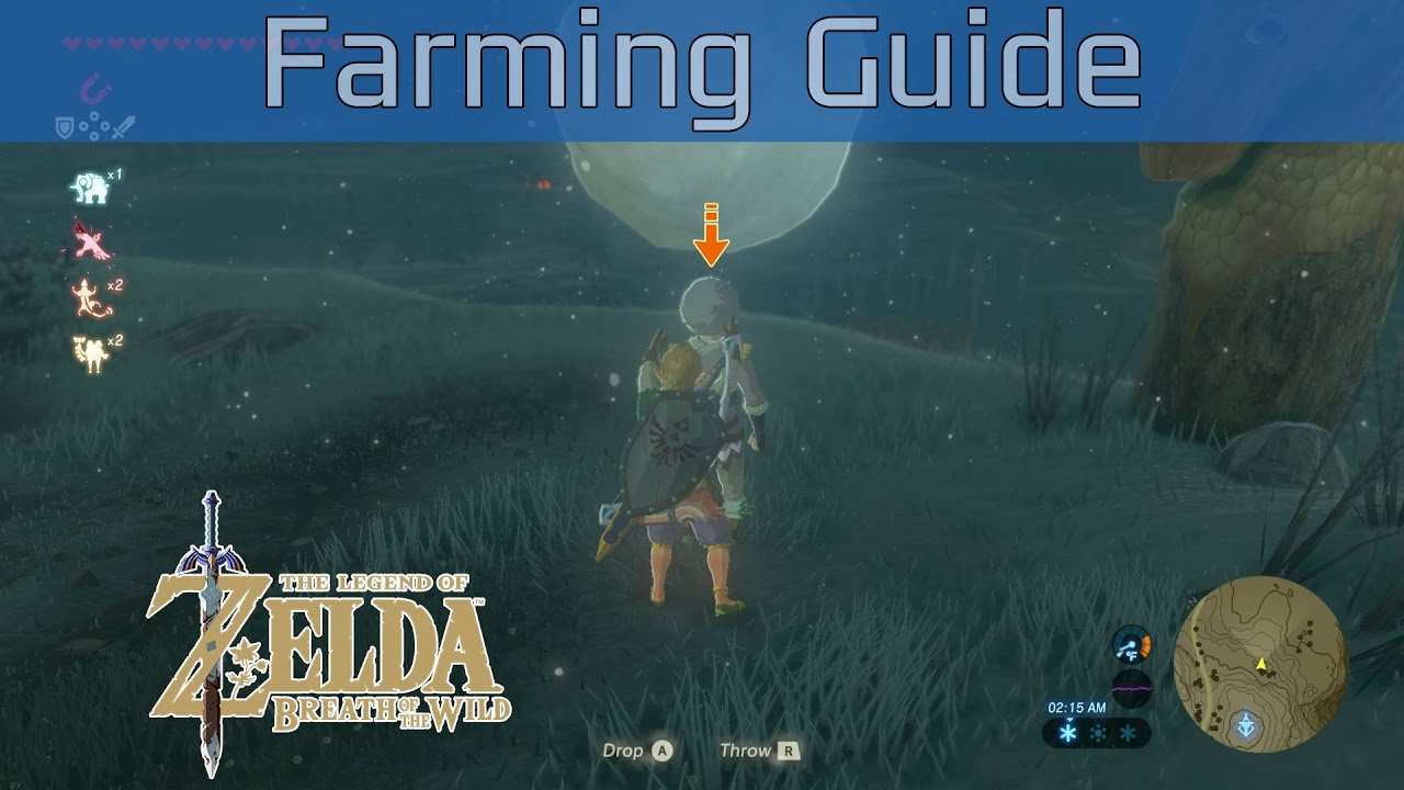 The Legend of Zelda: Breath of the Wild - Farming 2800 Rupees in 10 ...
