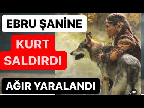 Ebru Şahin’e kurt saldırdı.Destan 13 bölüm fragmanı #destan #ebrusahin #ebruşahin