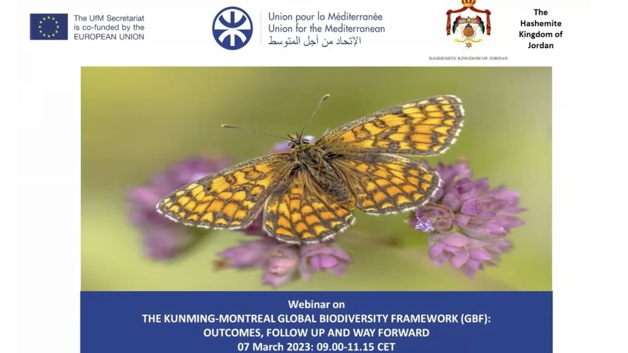 Webinar on the Kunming-Montreal Global Biodiversity Framework (GBF ...