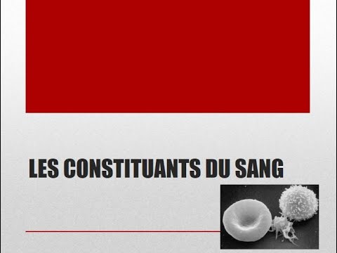 Les constituants du sang - YouTube