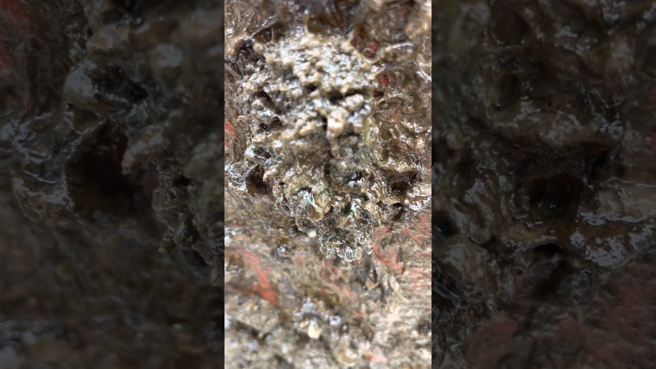 Ever seen GROSS live barnacles on the bottom of a boat? Well NOW you ...