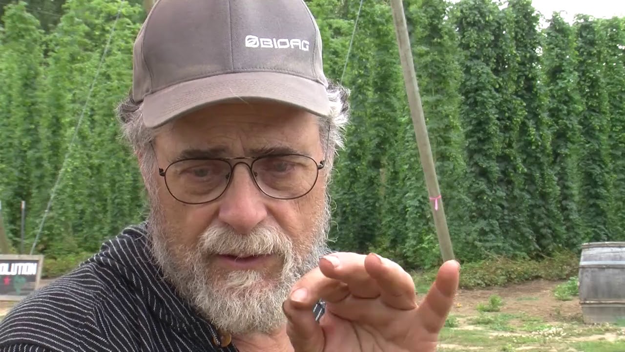 Dr Robert Faust Silicon Interview HD - YouTube