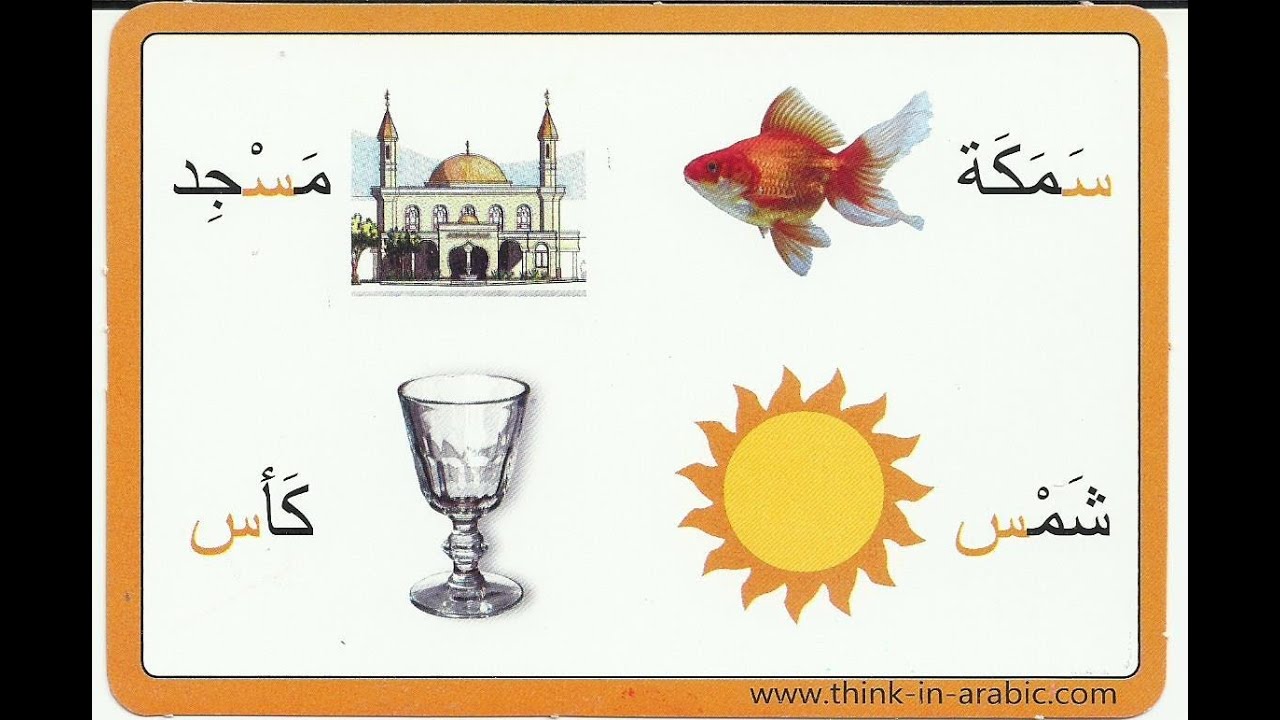 Four Arabic words a day from Think in Arabic 12 - YouTube