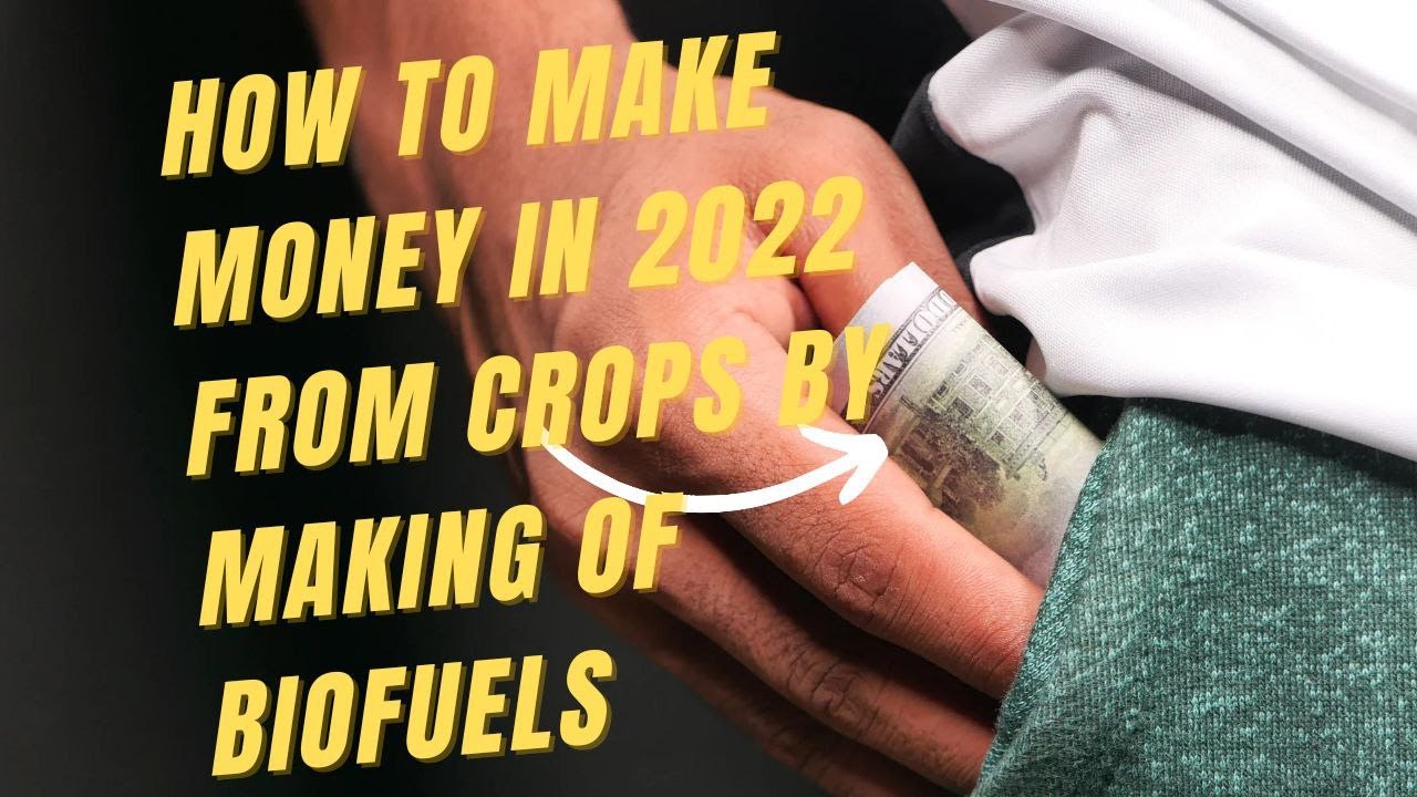 Important Biofuel Crops For Fuel Production || Agriculture site || 🔥🔥 ...
