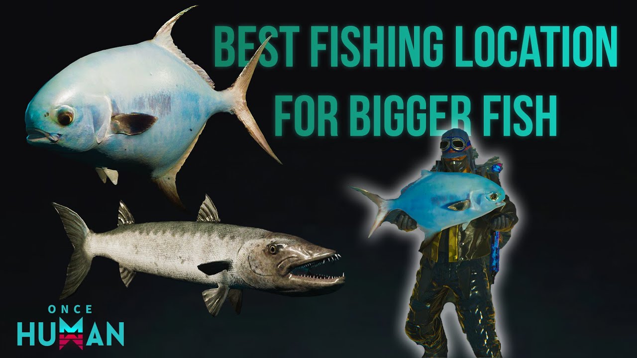 Once human How to get Big fish Barracuda and Pompano - YouTube