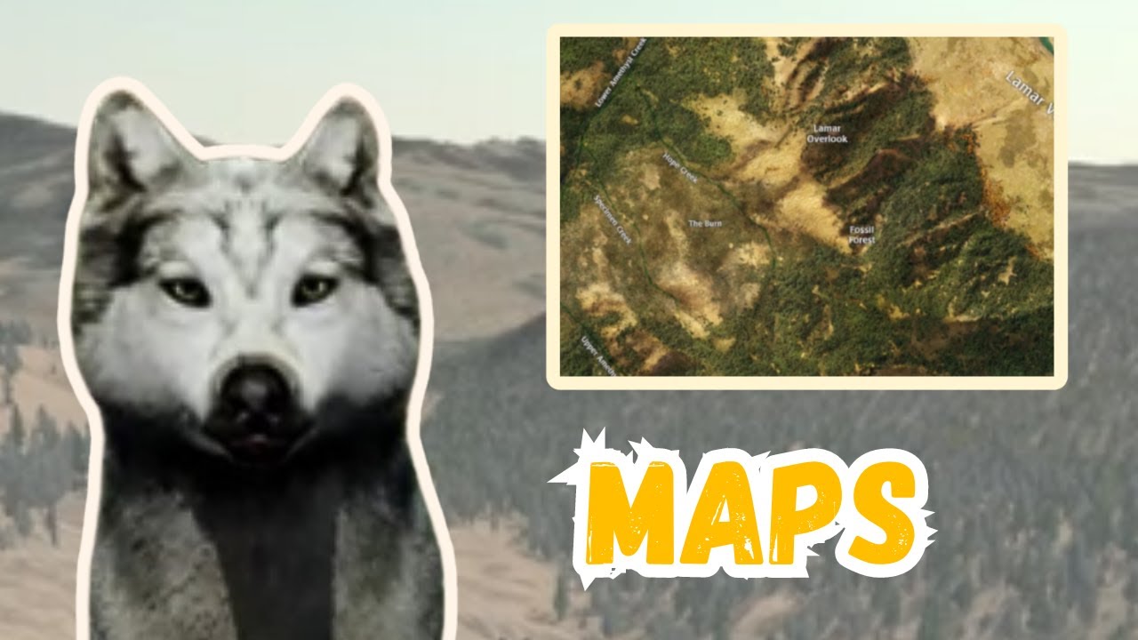A Complete Guide to the MAPS In Wolf Quest 3 AE - YouTube