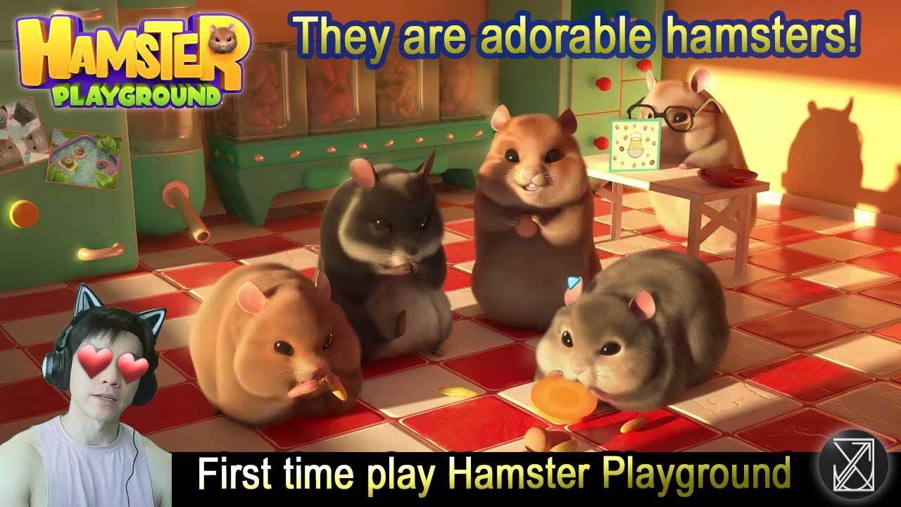Hamster Playground | CUTE simulation free-to-play game! - YouTube
