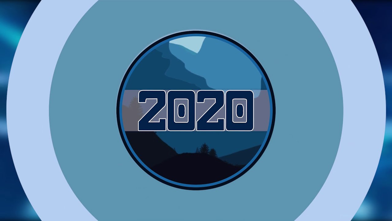 WaffwlWolf 2020 Twitch Recap - YouTube