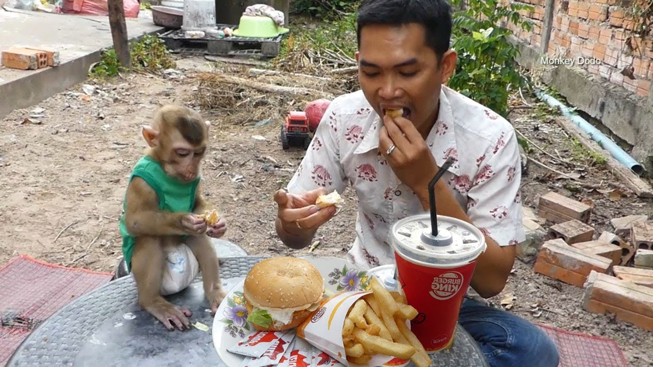 Monkey Dodo Very Surprise!! Dad And Dodo Eati Spicy Cheese Burger - YouTube