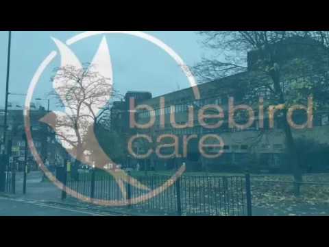 Bluebird Care Haringey Recruitment - YouTube