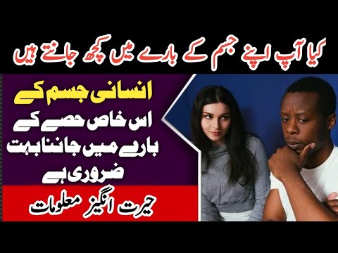 How amazing your body is Amazing information about the human body ...