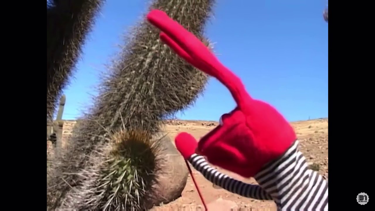 We see here a red puppet who has touched a cactus with his hands - YouTube