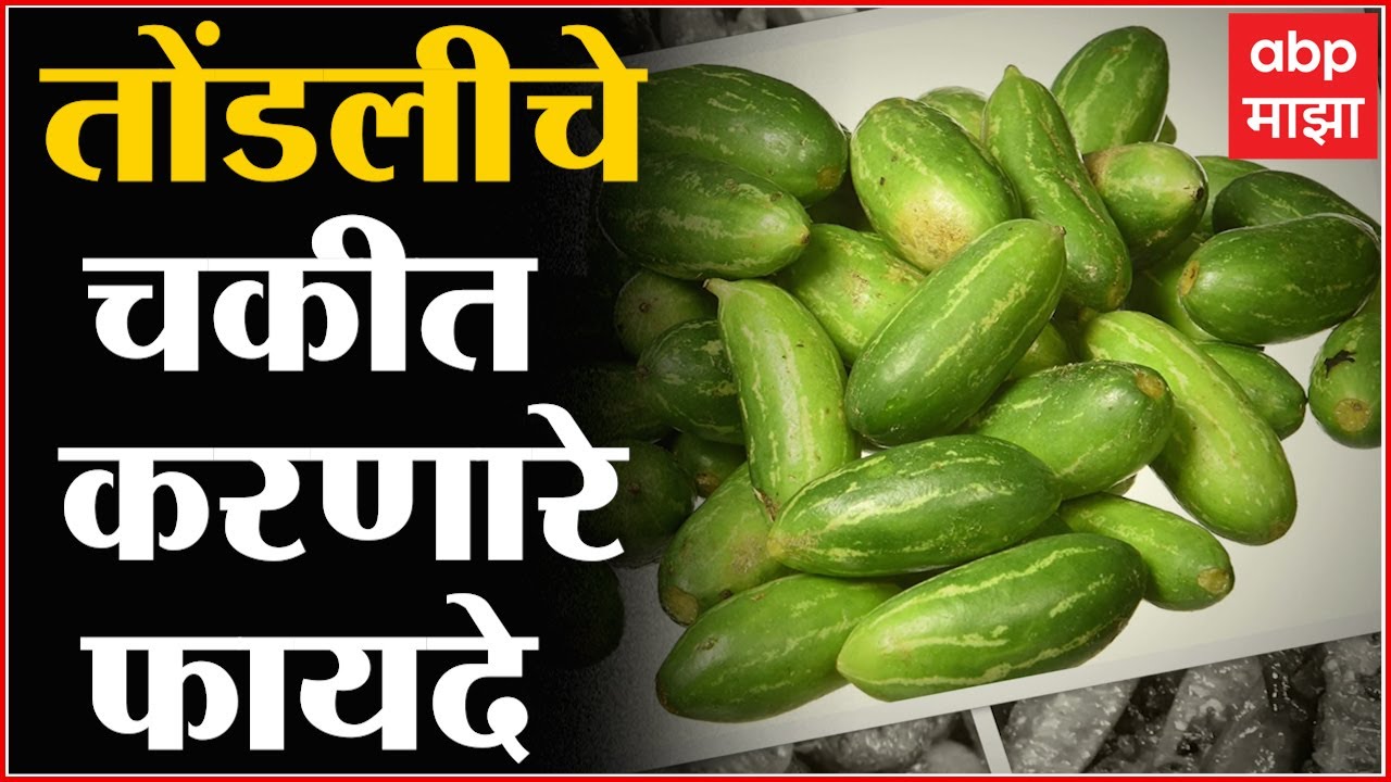 Tondli Vegetable Benefits : पोटाचे विकार ते कोलेस्टेरॉल, तोंडलीचे चकीत ...