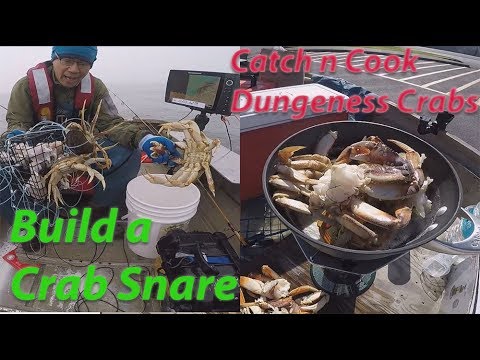How to Catch and cook dungeness crab - homemade crab snare - YouTube