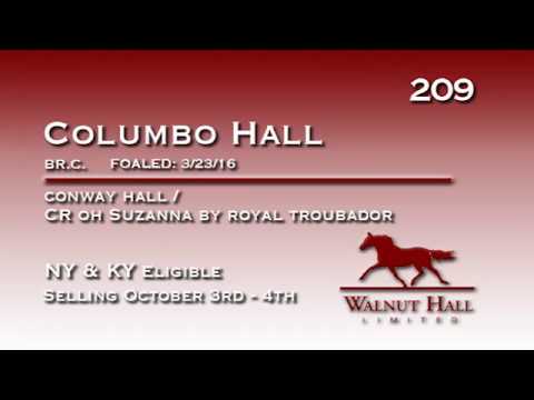 Hip #209 - Columbo Hall - YouTube