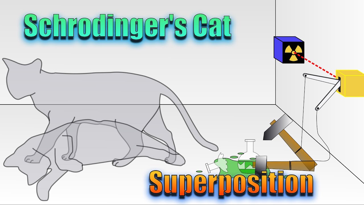 Schrödinger's Cat and Superposition - YouTube