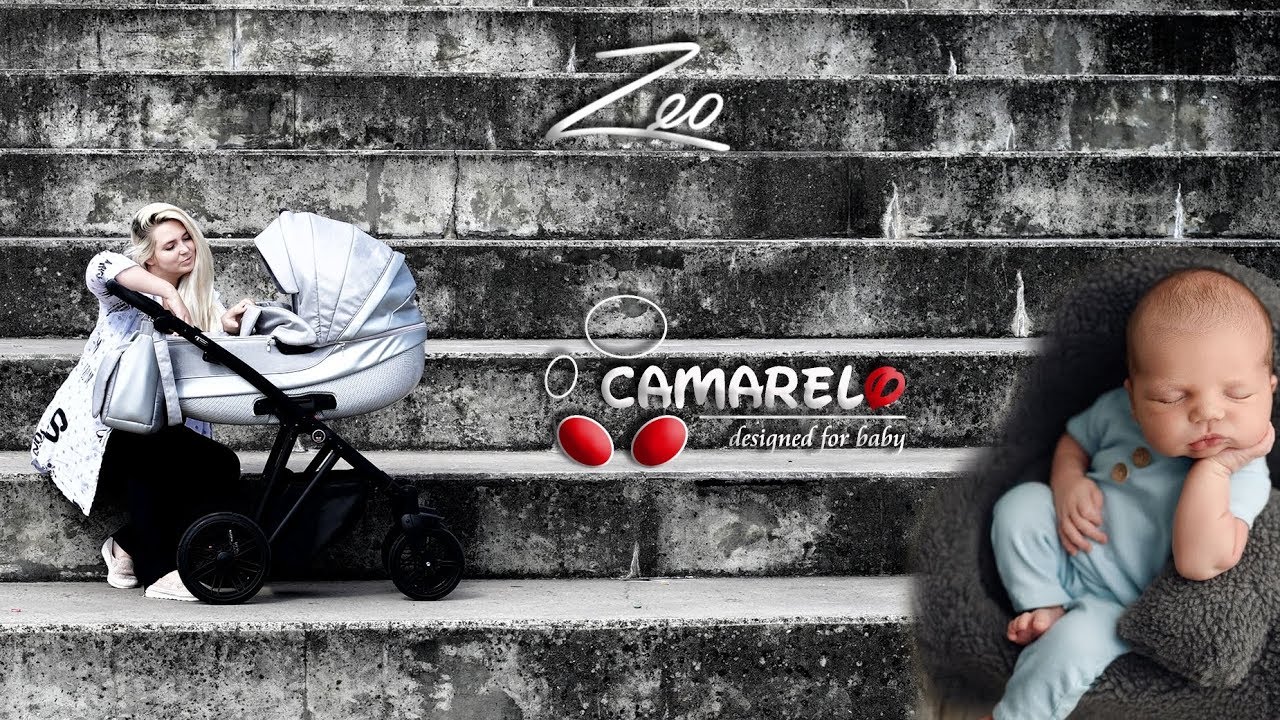 The best companion for a walk - YouTube